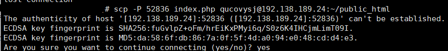 How To Use Secure Copy Protocolscp To Transfer Files Securely On